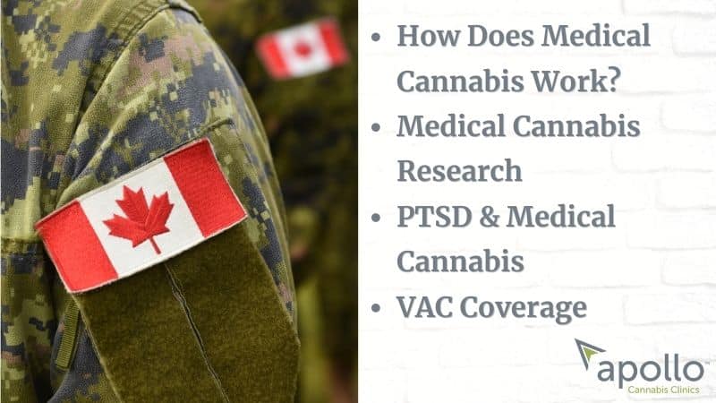 Medical Cannabis Coverage for CAF Veterans |Apollo Cannabis Clinic